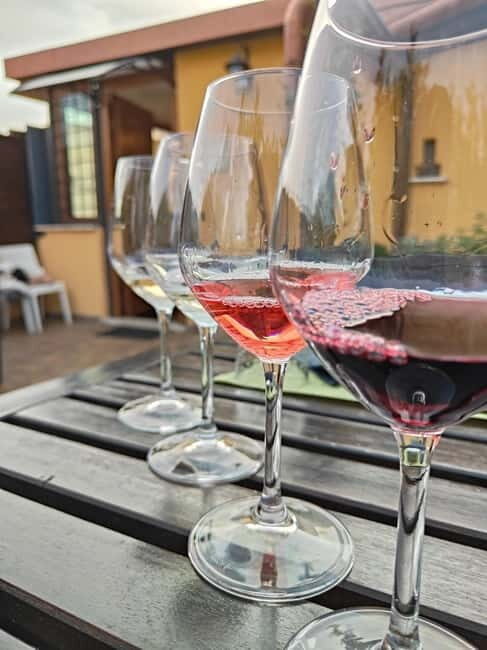 Vatican Pasta Class with wine and tiramisù - A Taste of Italy in Just Two Hours