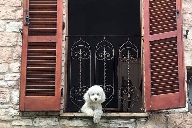 Vatican, Sistine Chapel Guided Tour & Access to St Peter Basilica - FAQ