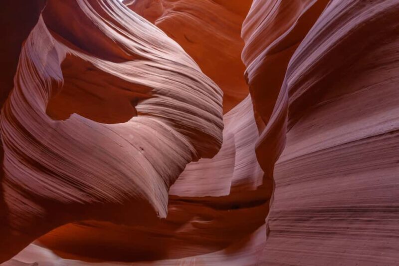 Vegas: Antelope Canyon & Horseshoe Bend VIP Small Group Tour - Final Thoughts