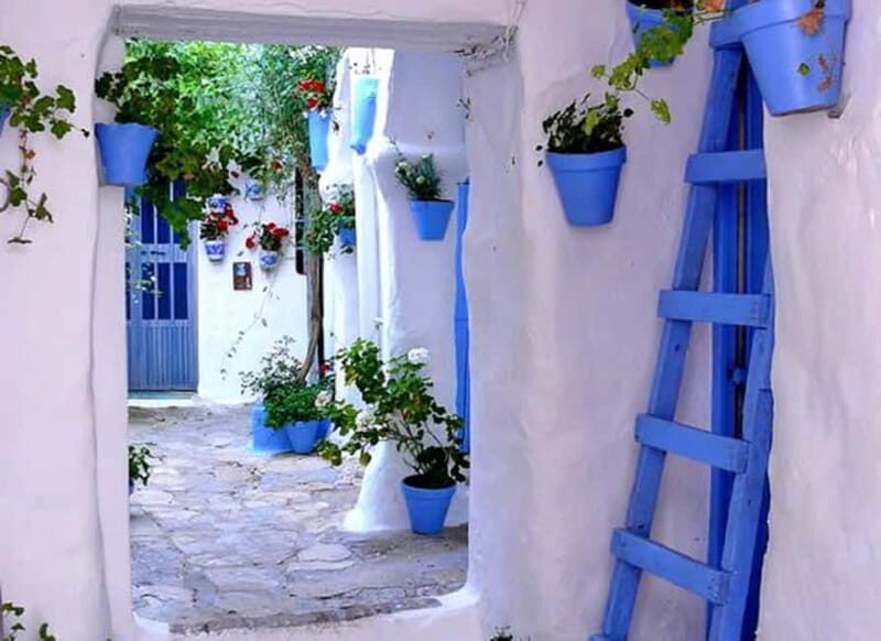 Vejer and Conil: Tour from Jerez, El Puerto, Cádiz, Chiclana - Who Is This Tour Best Suited For?