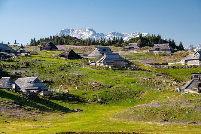 Velika Planina Guided Hike from Ljubljana - Key Points  
