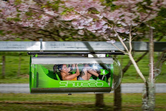 Velocity Valley Rotorua - An Overview of Velocity Valley Rotorua