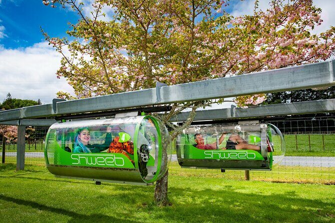 Velocity Valley Rotorua - The Sum Up: Who Will Love Velocity Valley?