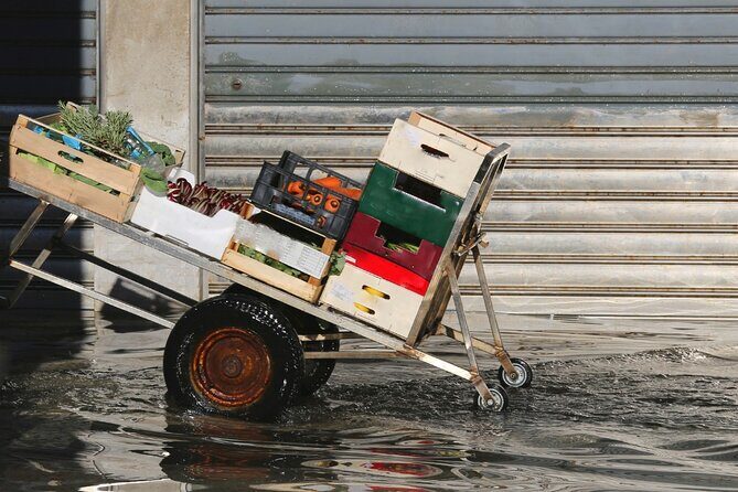 Venice for First-Timers: Essential Private Tour - Who This Tour Is Best For