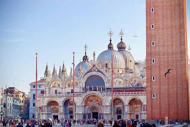 Venice in a Day: The Main Highlights of the City - Final Stop: Museo Correr and Additional Museums