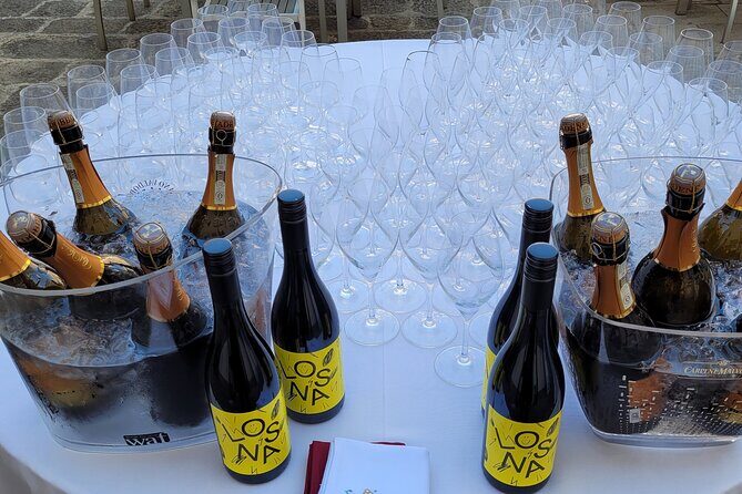 Venice like a local: Vini and Cichetti at Liuba and Hugo's home - FAQs