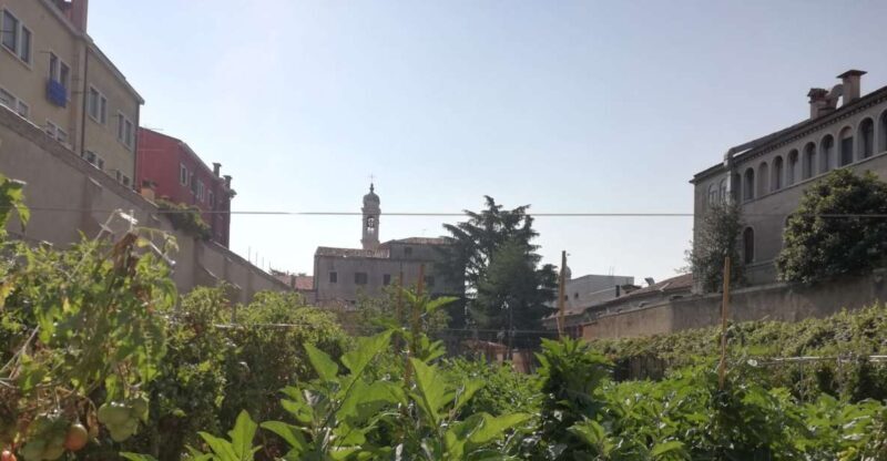 Venice: Secret City Gardens Walking Tour - FAQs