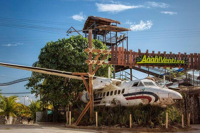 Ventura Dolphin - The Experience from a Reviewers Perspective