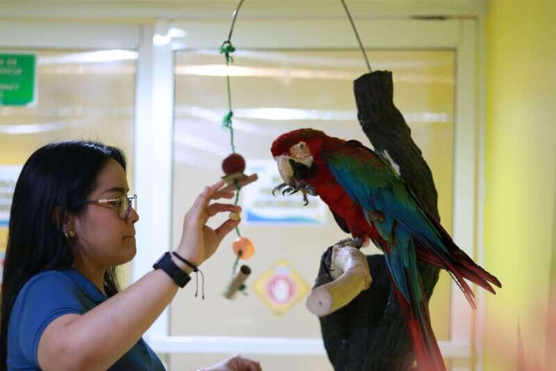 Veracruz: 5-Attraction Tour with Aquarium and Boat Tour - An In-Depth Look at the Veracruz Tour