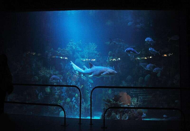 Veracruz: Panoramic Sightseeing City Tour and Aquarium - FAQ