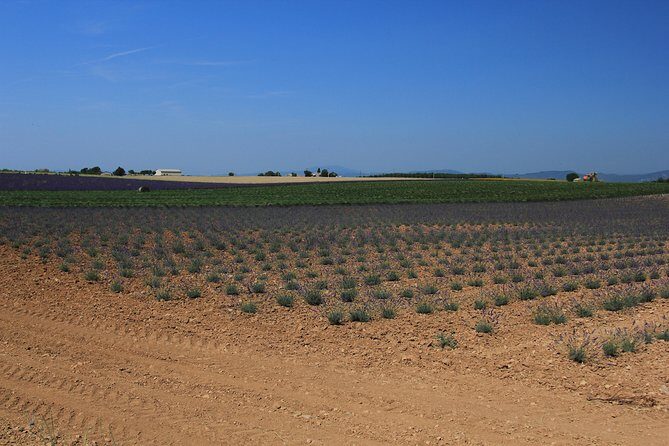 Verdon Canyon and Moustiers Ste-Marie Tour from Aix-en-Provence - The Sum Up