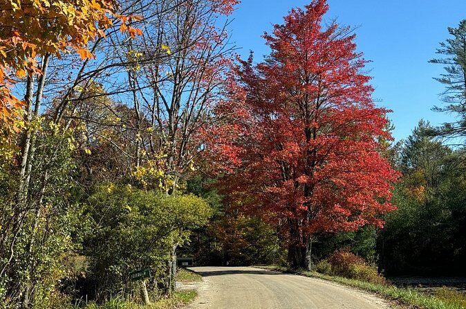 Vermont Wayfinders Fall Foliage Private Tour - What Travelers Are Saying (Based on Available Feedback)