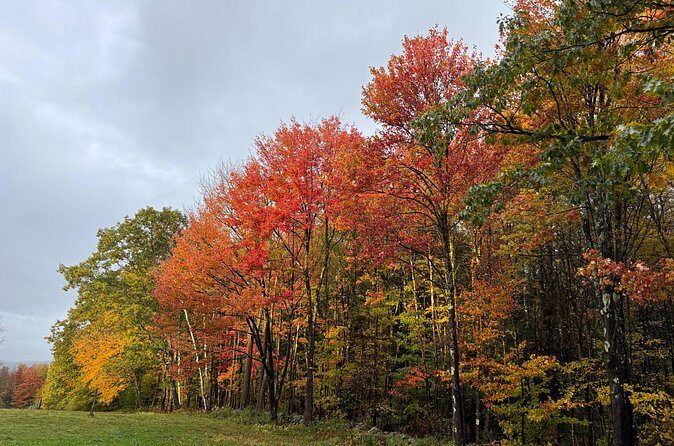 Vermont Wayfinders Fall Foliage Private Tour - The Sum Up