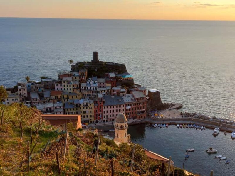 Vernazza (5 Terre): olive grove tour and oil and wine tasting - What is the Tour All About?