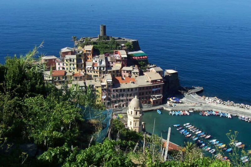 Vernazza (5 Terre): olive grove tour and oil and wine tasting - The Experience: What Travelers Love
