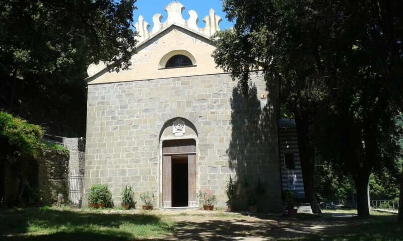 Vernazza (5 Terre): olive grove tour and oil and wine tasting - Practical Details and Considerations