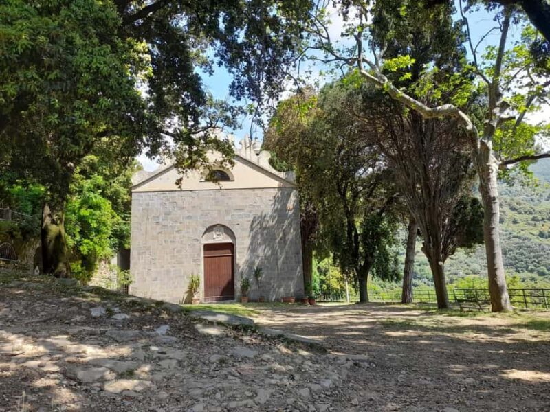 Vernazza (5 Terre): olive grove tour and oil and wine tasting - Who Will Enjoy This Tour Most?