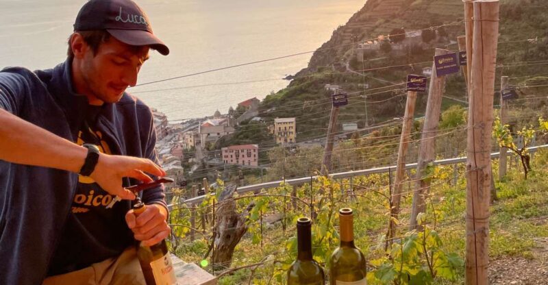 Vernazza: Panoramic Vineyard Trekking Tour w/ Wine Tasting - An In-Depth Look at the Tour