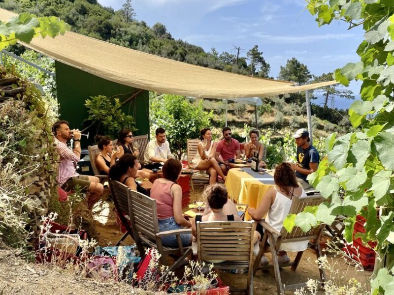 Vernazza: Panoramic Vineyard Trekking Tour w/ Wine Tasting - Final Thoughts