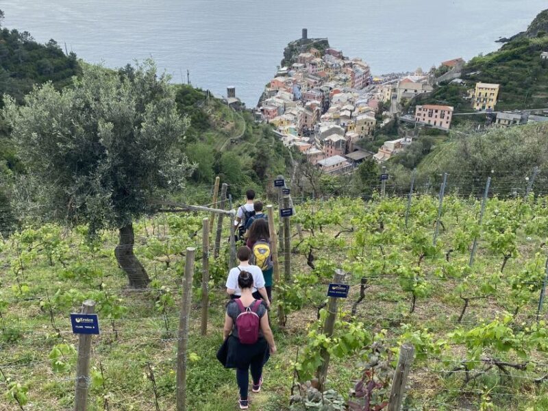Vernazza: Panoramic Vineyard Trekking Tour w/ Wine Tasting - FAQs