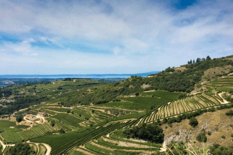 Verona: A family tasting in the heart of Valpolicella - What Could Be Better