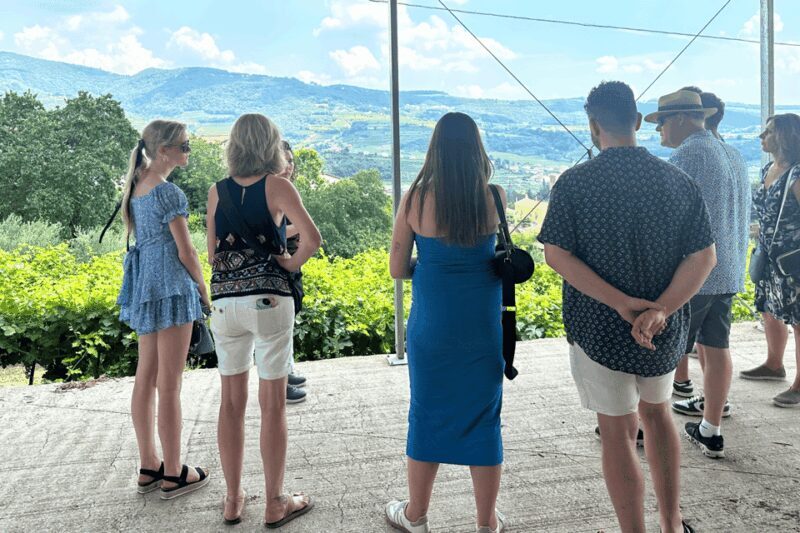 Verona: A family tasting in the heart of Valpolicella - The Real Value of This Experience