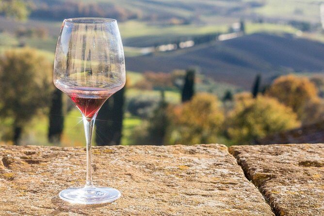 Verona area: Wine Tasting Experience in Valpolicella - Analyzing the value