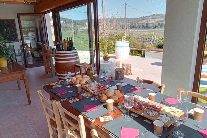 Verona - Cellar Tour and Tasting of NATURAL WINES - A Closer Look at the Verona Cellar Tour and Tasting Experience