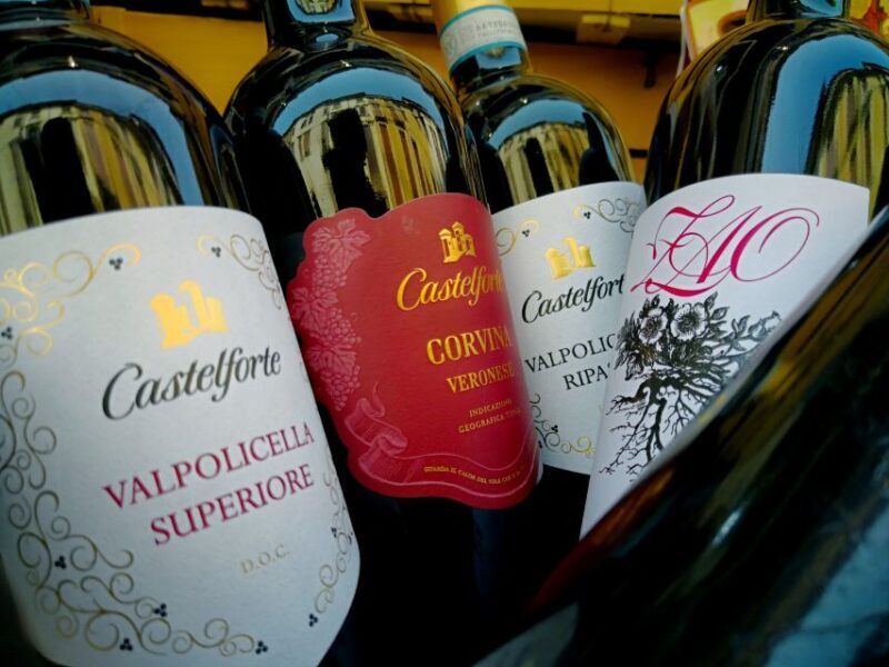 Verona: Classic Valpolicella Wine Tasting Experience - Who Will Love This Tour?