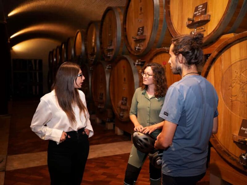 Verona: Valpolicella Wine Self-Guided E-Bike Tour & Tastings - Who Will Love This Tour?