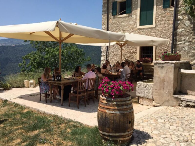 Verona: Vineyard and Winery Tour with Wine Tasting - Exploring the Rural House and Cellar