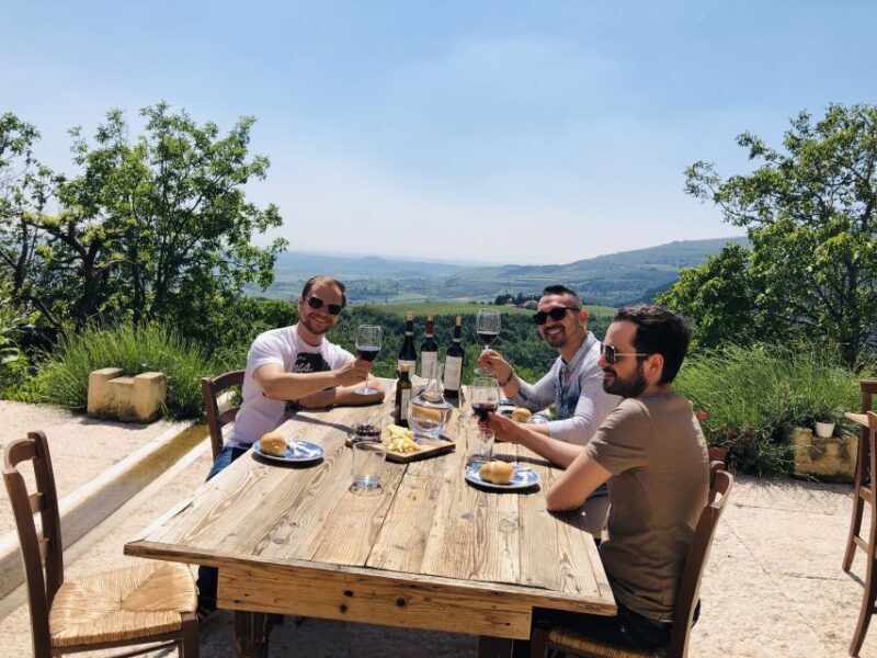 Verona: Vineyard and Winery Tour with Wine Tasting - Tasting Top-Quality Wines Paired with Local Food