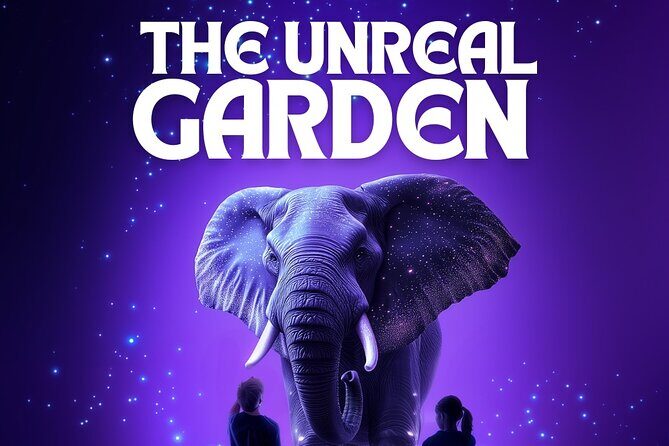 Verse Immersive Holographic Theater in Chicago - Authentic Insights from Reviewers