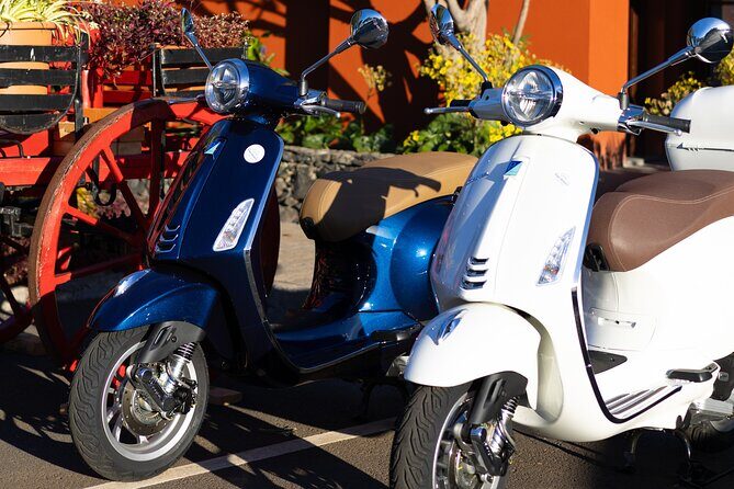 Vespa Primavera 24 Hour Rental in Madeira - The Reviews Say It All
