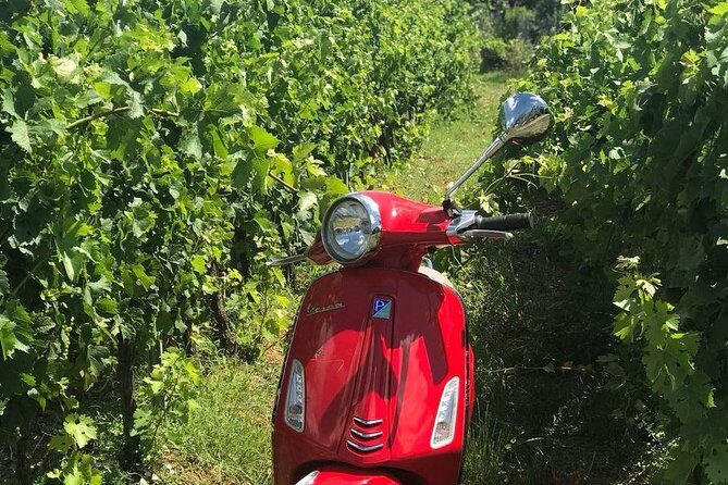 Vespa Tour with Lunch&Chianti Winery from Siena - The Sum Up