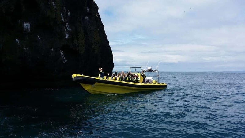 Vestmannaeyjar: One Hour Small Islands Trip - What To Expect During the Tour