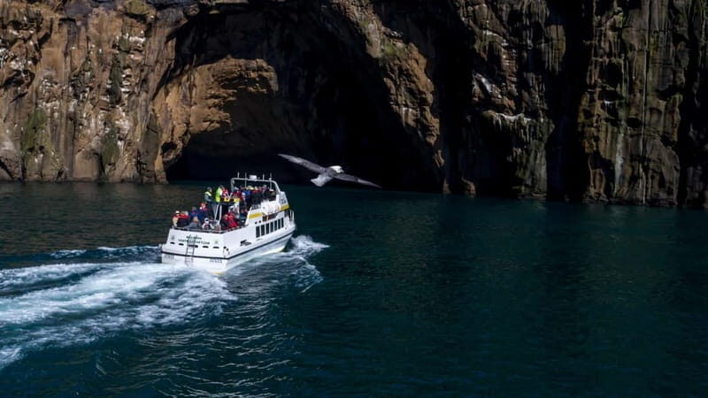Vestmannaeyjar: Puffin, Island, and Volcano Boat Tour - Why This Tour Works Well