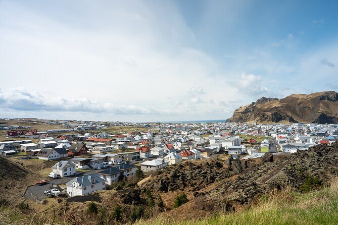 Vestmannaeyjar, Puffins & Volcanoes Small Group Day Tour - Lunch Break & Local Vibes