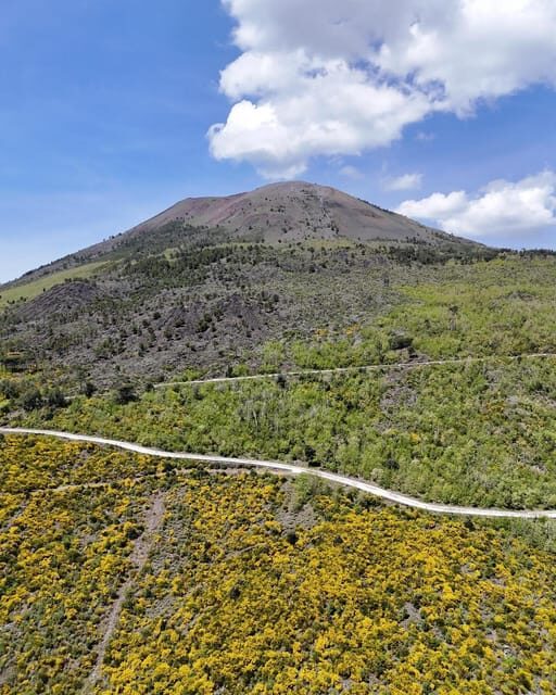 Vesuvio Bike Tour: Summit Ride and Entrance Ticket - The Complete Breakdown of the Vesuvio Bike Tour
