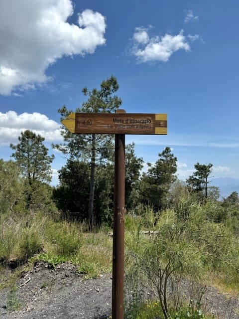 Vesuvio Bike Tour: Summit Ride and Entrance Ticket - FAQ