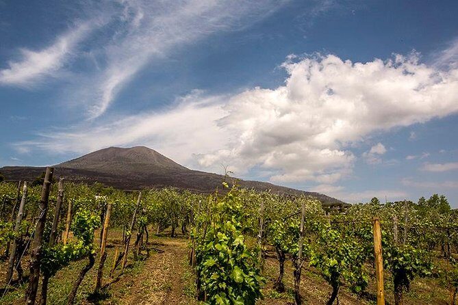 Vesuvio Gran cono + Wine Tasting & Lunch + Transfer from Naples - The Itinerary in Detail