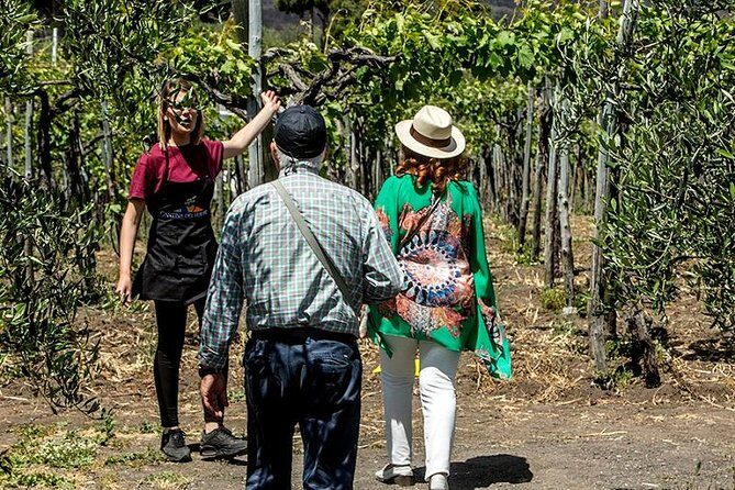 Vesuvio Gran cono + Wine Tasting & Lunch + Transfer from Naples - Value and Price Analysis
