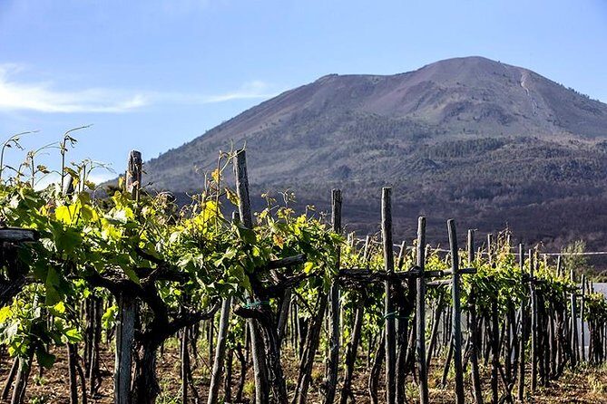 Vesuvio Gran cono + Wine Tasting & Lunch + Transfer from Naples - Who Will Love This Tour?