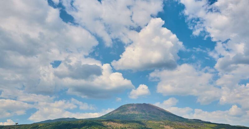 Vesuvio Tour with entrance ticket included - Practical Details and Tips