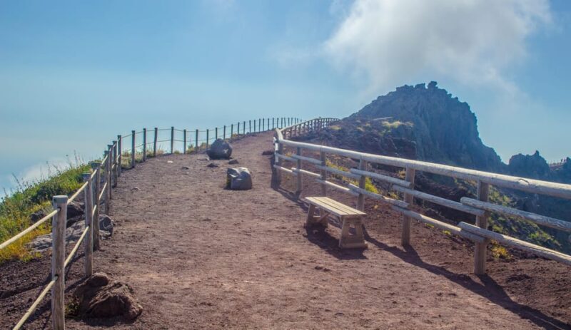 Vesuvius National Park Skip-The-Line Ticket and Audio Guide - An Overview of the Experience