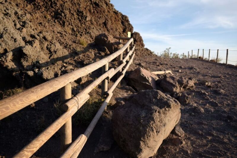 Vesuvius Park Skip-the-Line Ticket + support - Final Thoughts