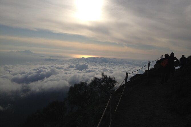Vesuvius, V.I.P. the only Tour with Volcanological Guide - Who Would Love This Tour?
