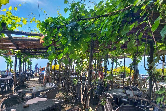 Vesuvius & Vineyard select from Sorrento - Who Will Love This Tour?