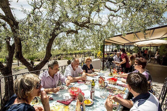 Vesuvius Wine Tasting Experience with Lunch Included - What the Tour Entails: A Deep Dive