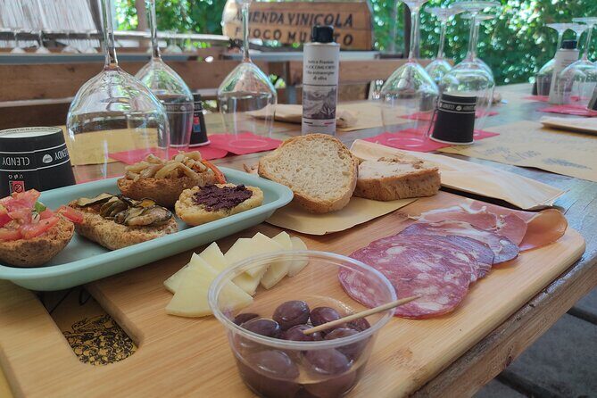 Vesuvius wine tasting with company tour - Key Points